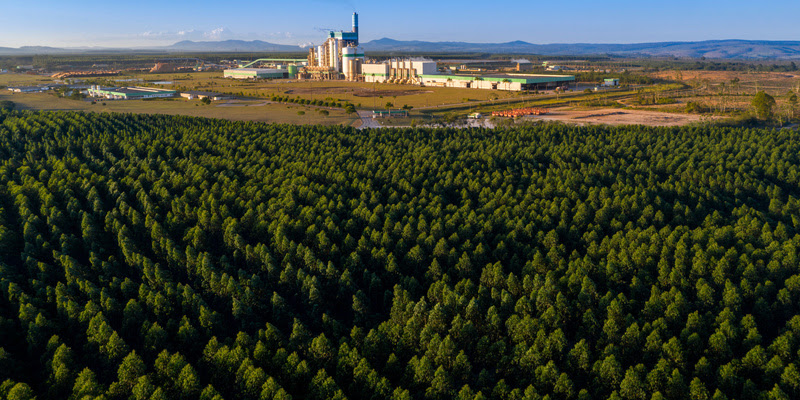 Veracel Celulose reduz emissão de CO2 na produção da Celulose