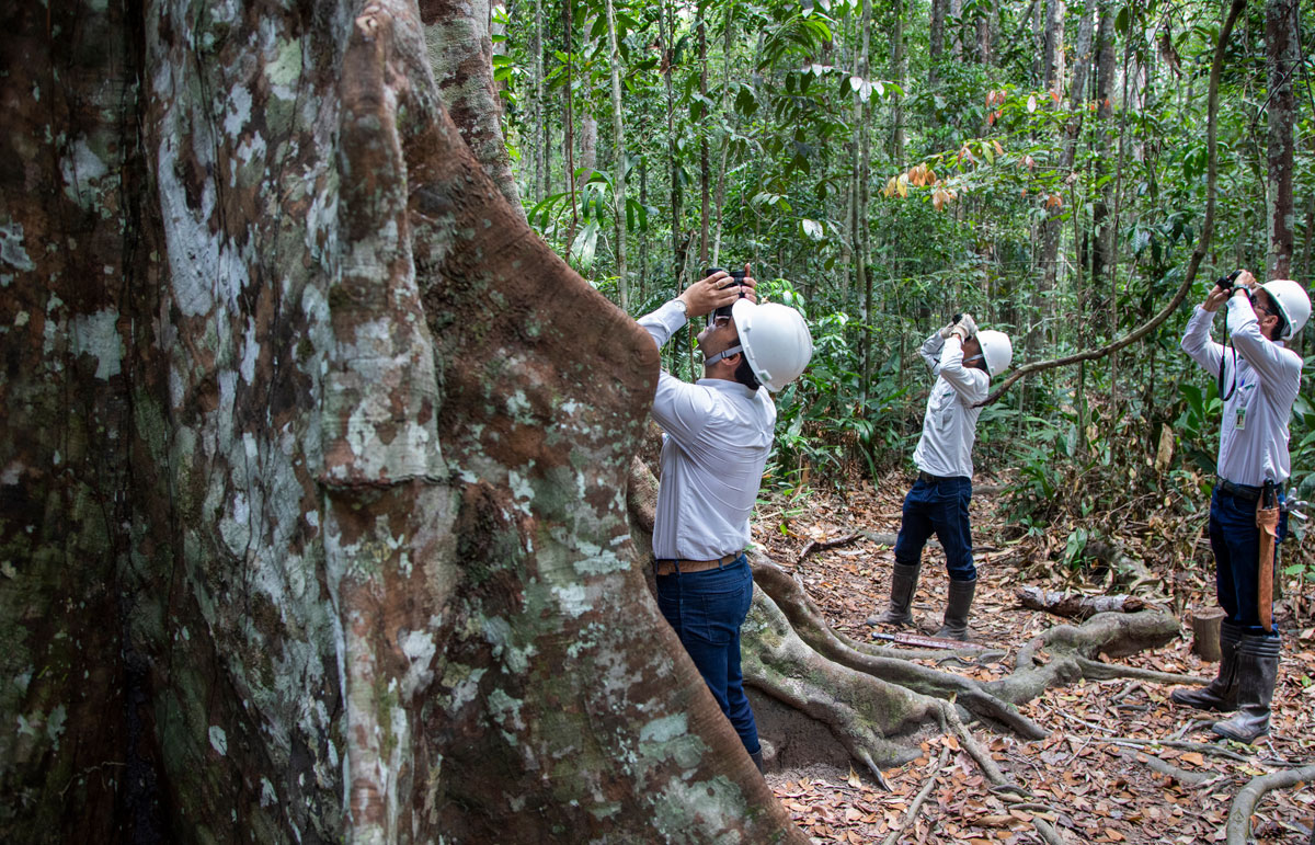 Estação Veracel atrai pesquisas pelo seu ambiente preservado