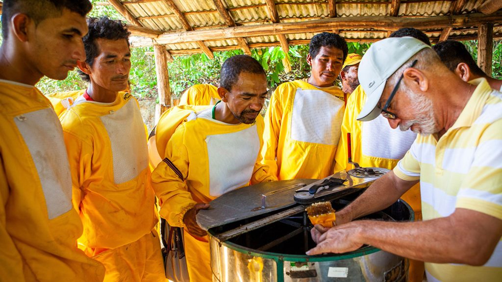 Veracel Celulose apoia a cadeira produtiva do mel no sul da Bahia