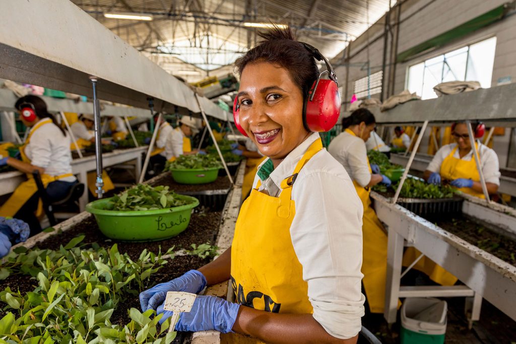 Veracel recebe selo GPTW pelo 5º Ano Consecutivo