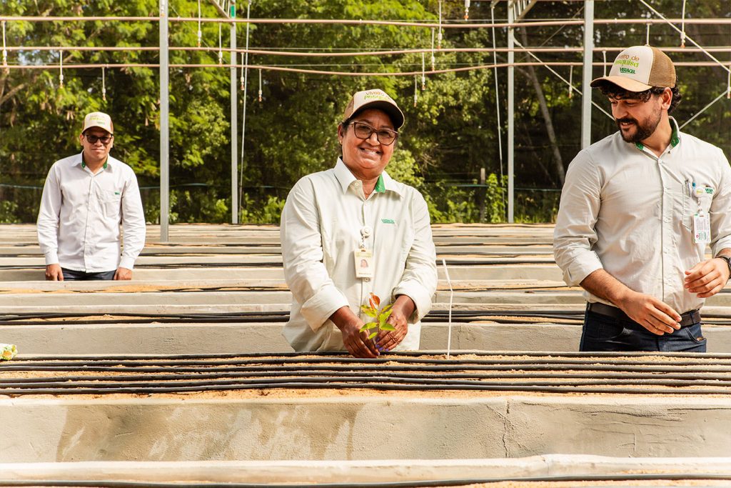 Novo Viveiro de Pesquisas da Veracel Celulose